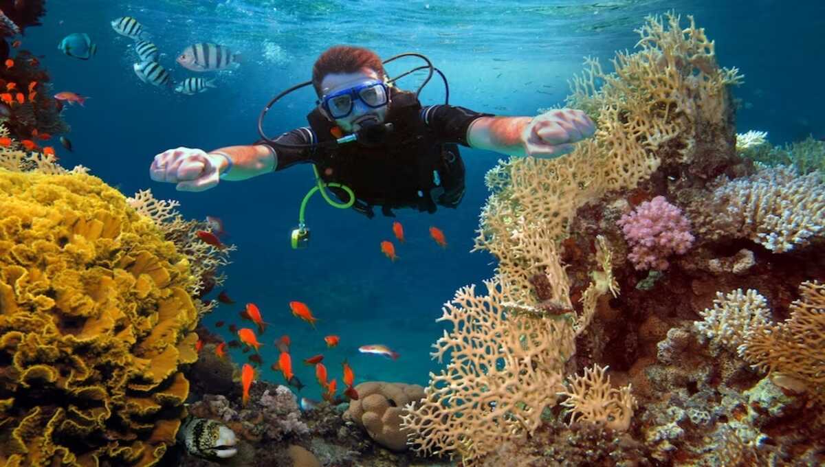 Deep Dive Dubai, Exploring the Depths of Deep Sea